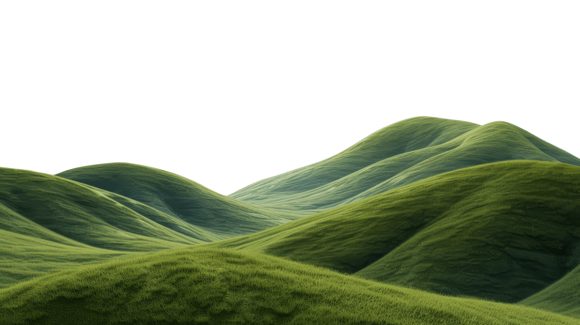 OYU Green Press – Latest News & Updates