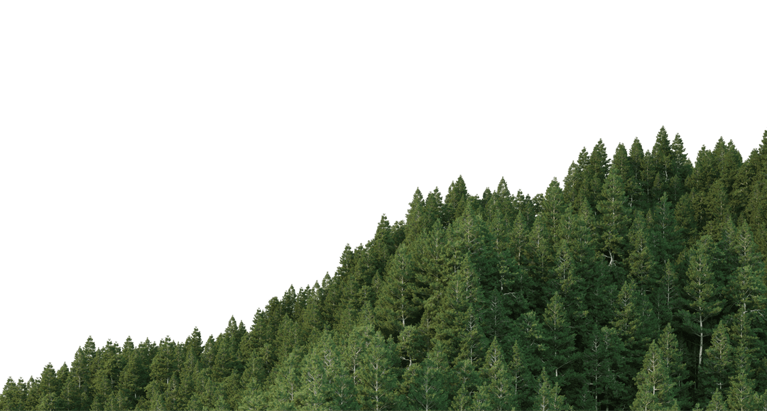 Explore Sustainability Projects – OYU Green
